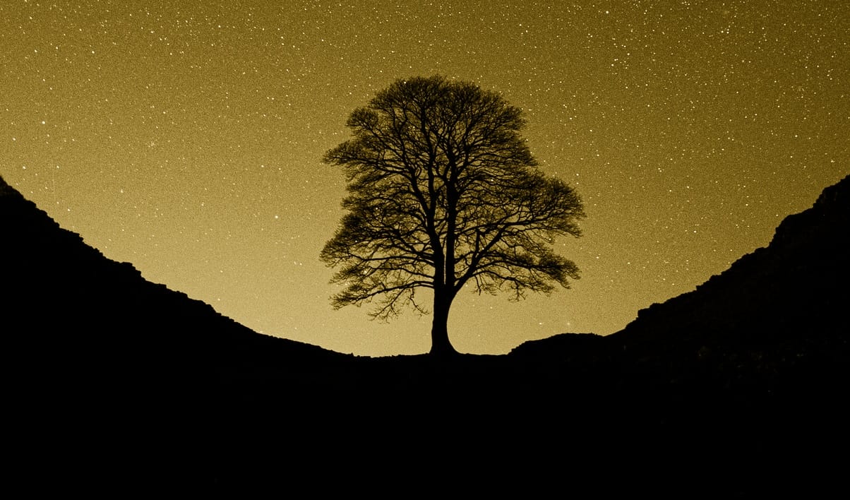 Dispatch | Welcome to the frontier